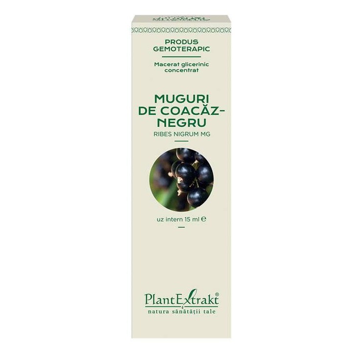 Concentrat Muguri Coacaz Negru 15ml PlantExtrakt - eMAG.ro