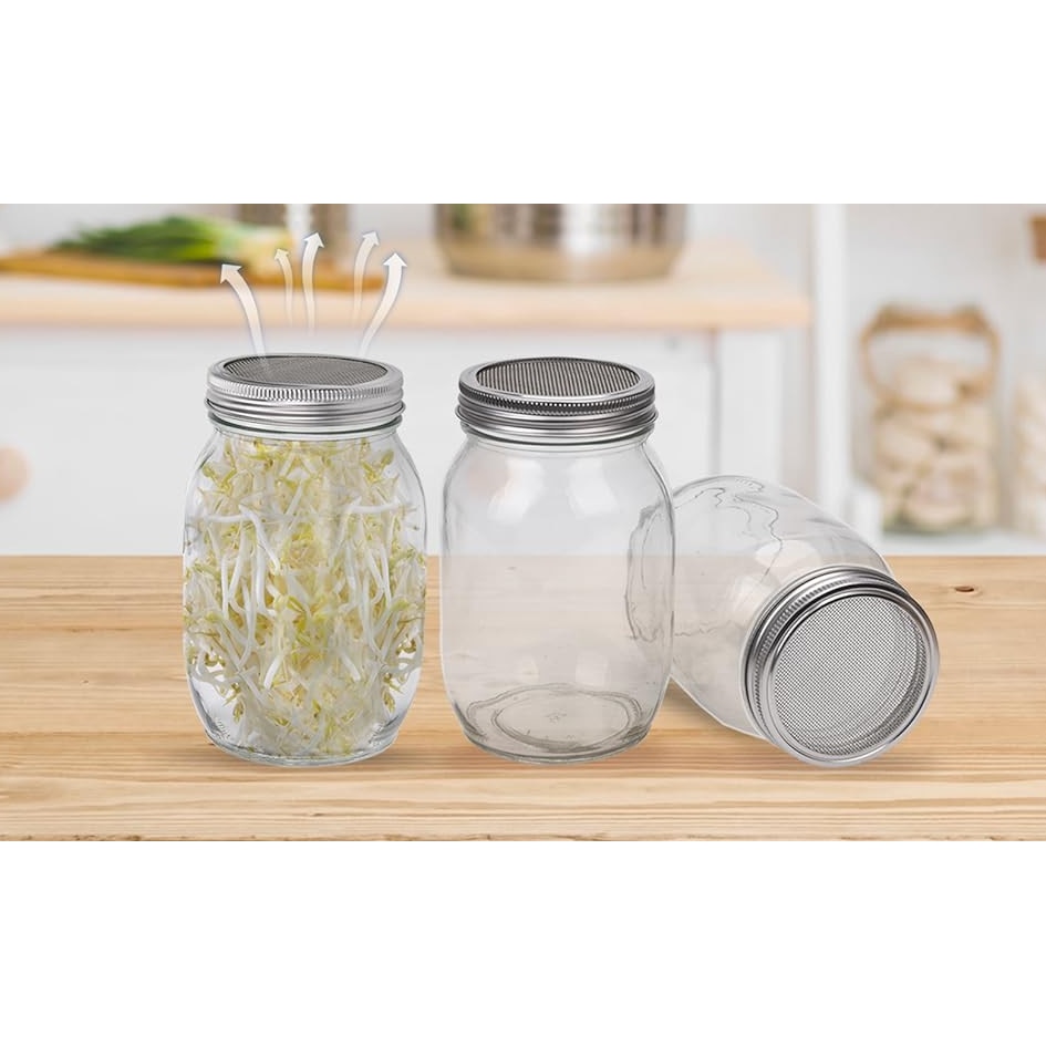 Set 2 Borcane pentru germinare, borcane Mason, Sticla pentru germinarea ...