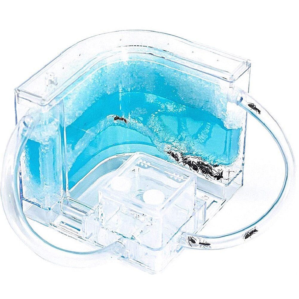 Ferma de furnici din gel transparent, 20x15x10cm, castel interactiv ...