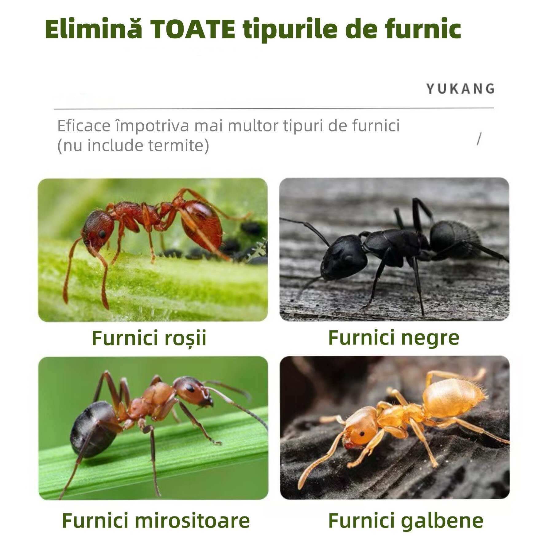 Momeala eficienta pentru furnici – Plicuri adezive, eliminare rapida, 6 ...