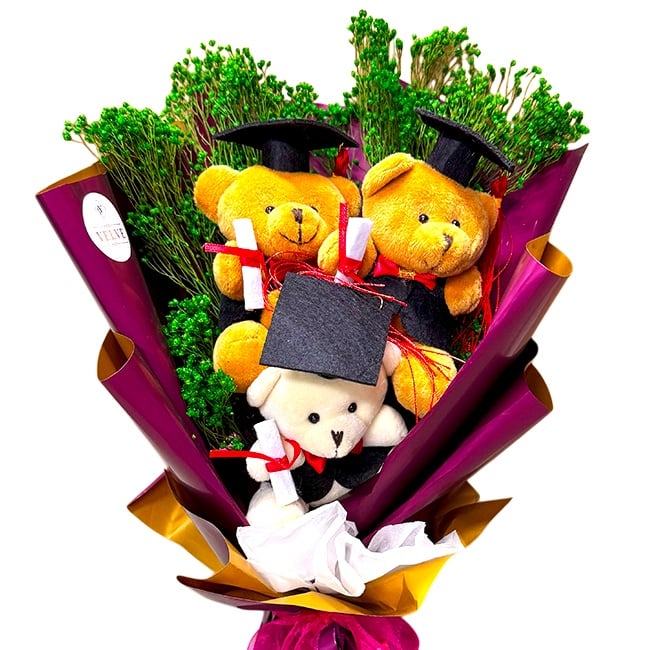 Buchet Graduate, broom criogenat, 3 ursuleti de plus cu toca, roba si ...