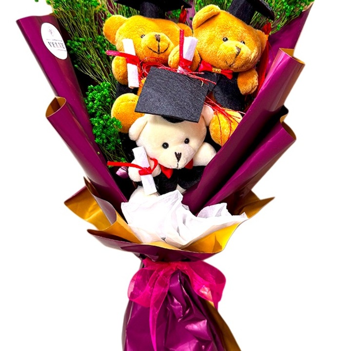 Buchet Graduate, broom criogenat, 3 ursuleti de plus cu toca, roba si ...