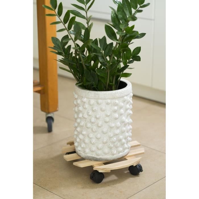 Masa cu role pentru plante, Nature, brad, 7.4x35cm - eMAG.ro
