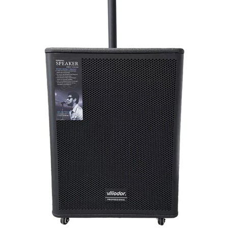 Sistem Audio Profesional Vlliodor – Boxe Active cu Subwoofer, 3800W ...