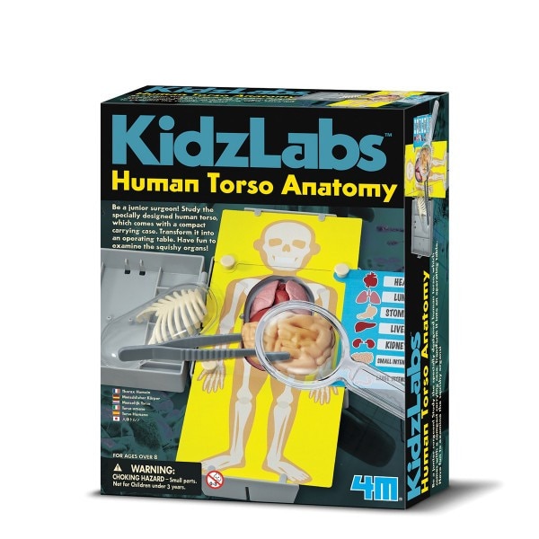 Az emberi test anatómiája - Torzó - eMAG.hu