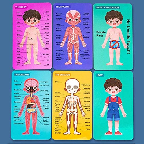 Oktató fa kirakó, emberi test románul, kisfiú, SALLMA® - eMAG.hu