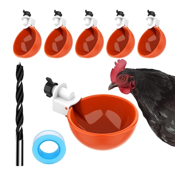 Adapatoare animale. Căutarea nu se oprește niciodată - eMAG.ro