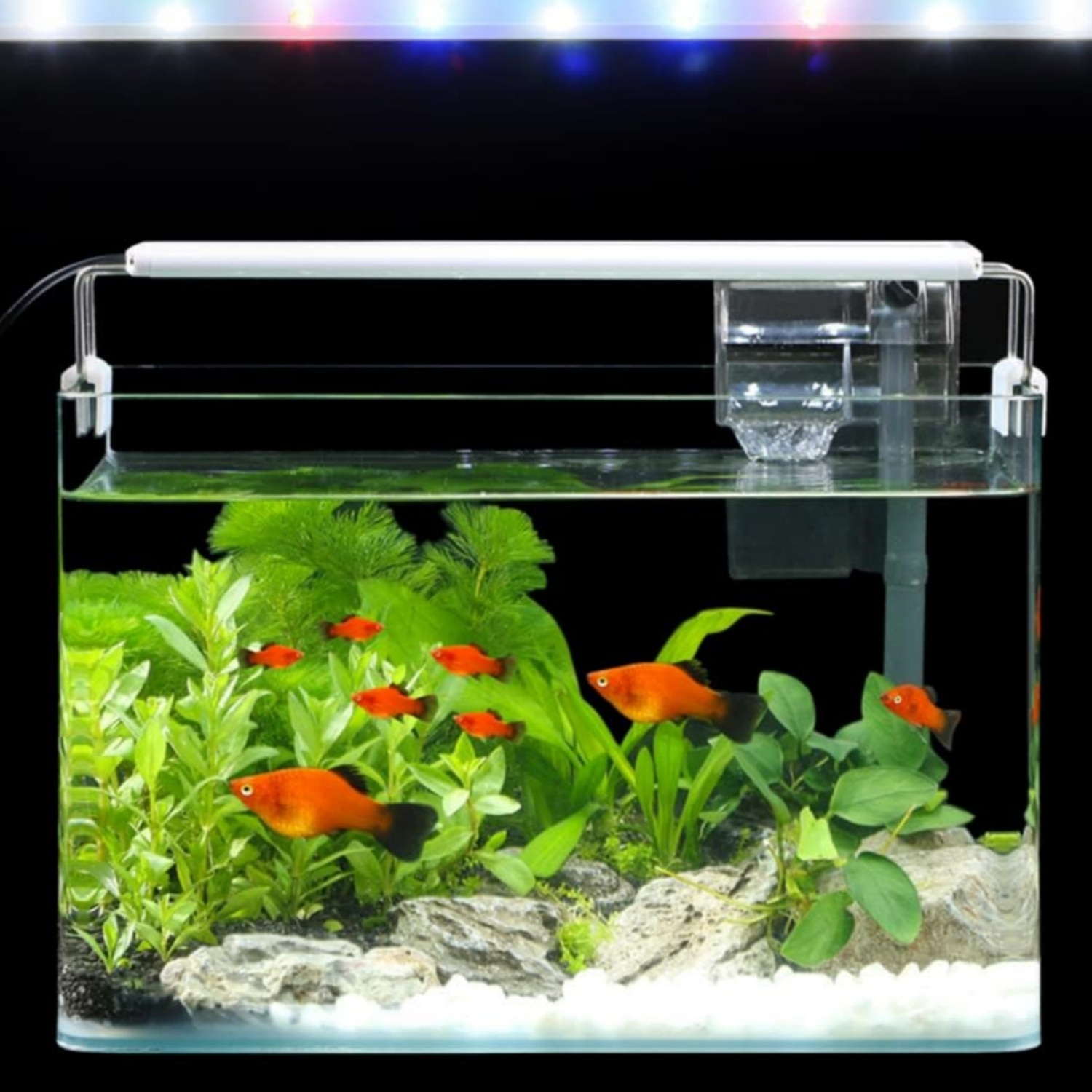 Lampa LED pentru acvariu, retro-fit, iluminare multicolora completa, 3 ...