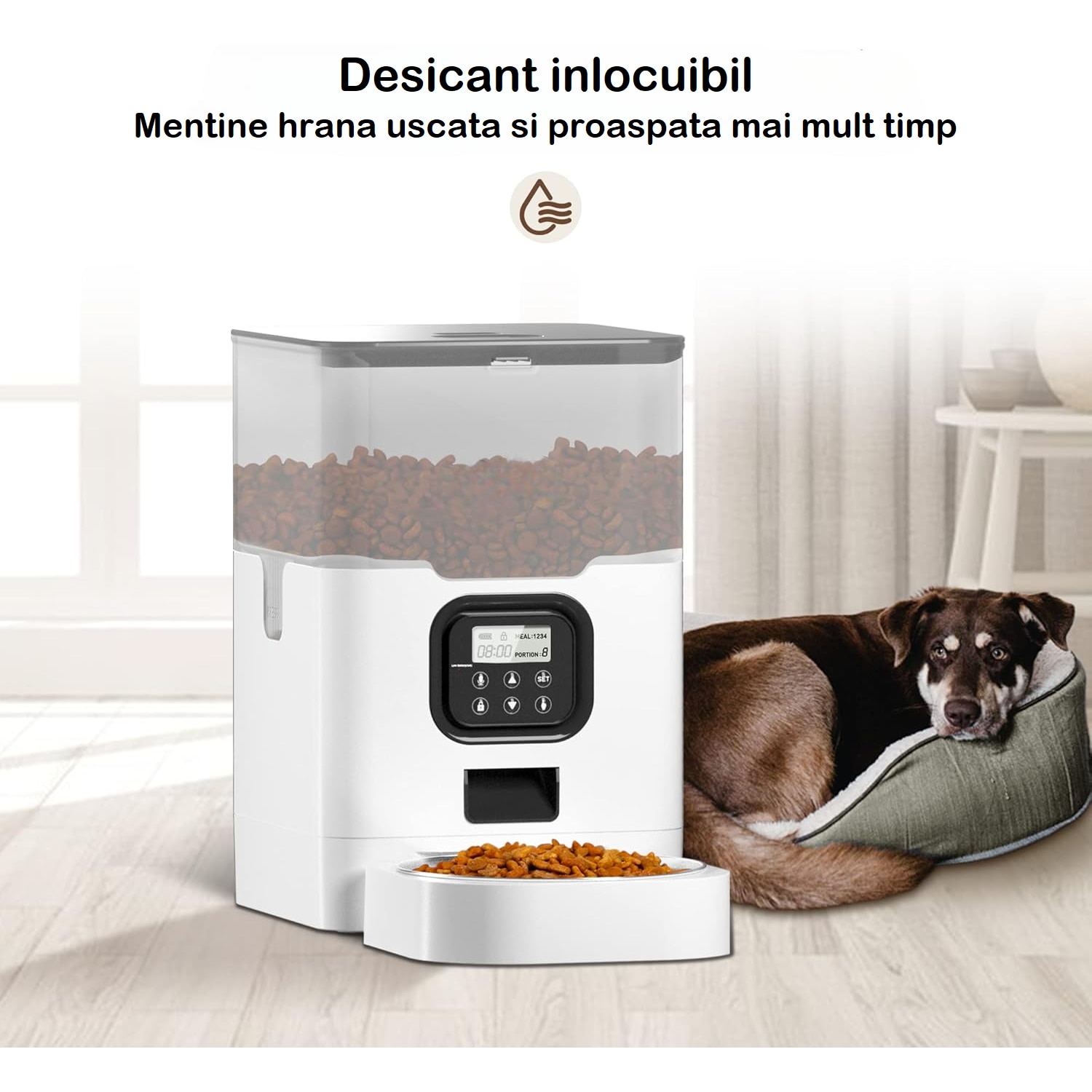 Hranitor Automat Digital Pisici si Caini Huggo® Rezervor Transparent 4L ...