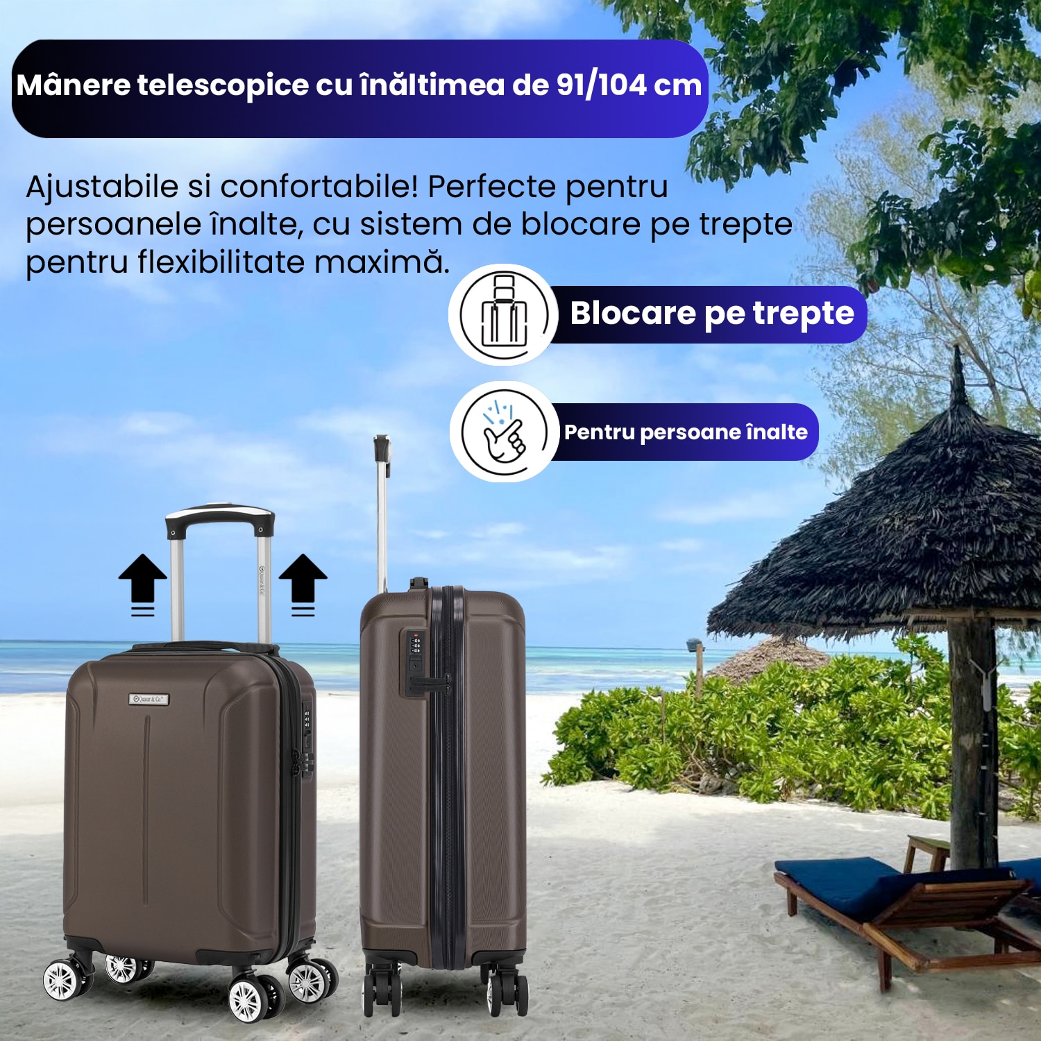 Set 2 trolere cabina, Quasar & Co.®, 40x30x20 cm cu roti detasabile si ...