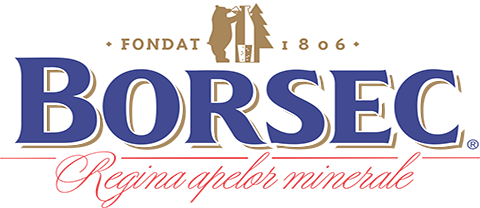 Set 6 Buc, Apa Plata Borsec, 1 L - eMAG.ro